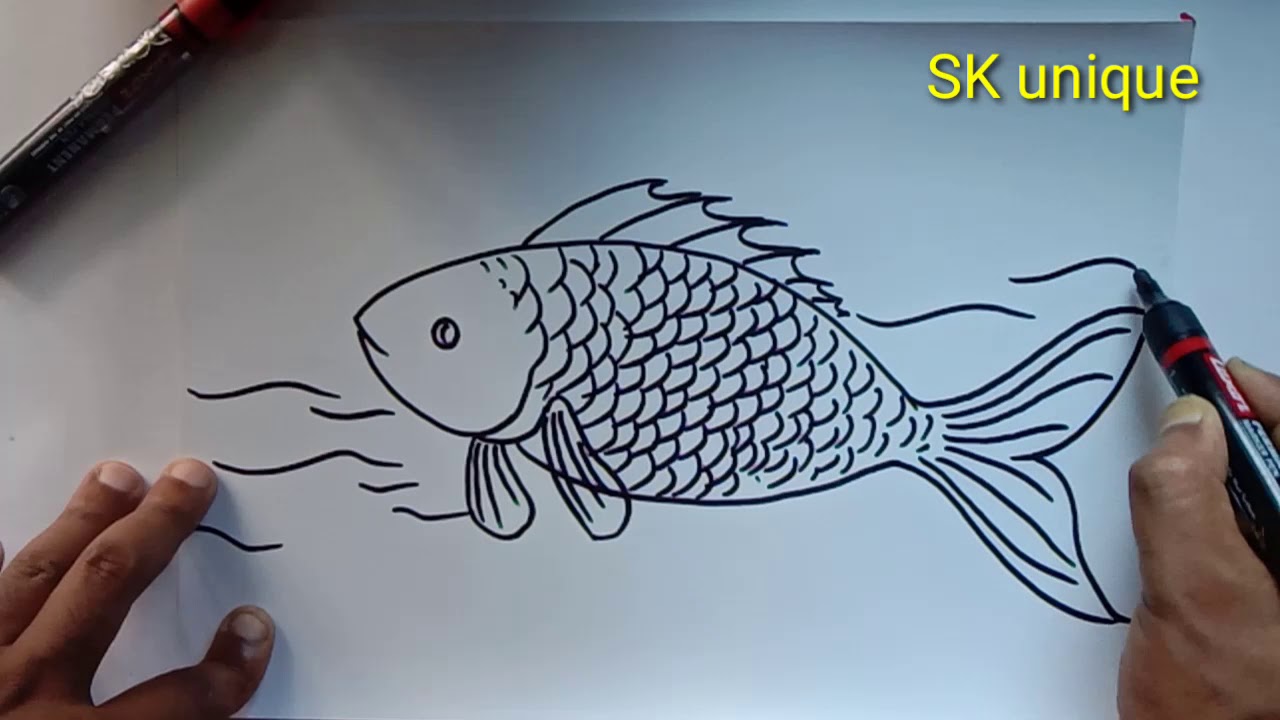 How to draw fish||for children||SK unique,, - YouTube