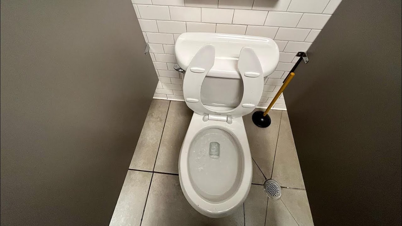 1,117. DSW Restroom featuring a rare (kinda) toilet - YouTube