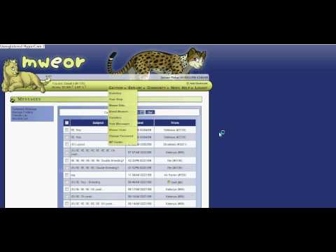 The Ultimate Guide to Mweor 2 - YouTube