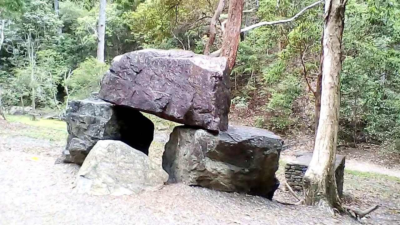 Mt Cootha Hiking Track/Forrest - YouTube