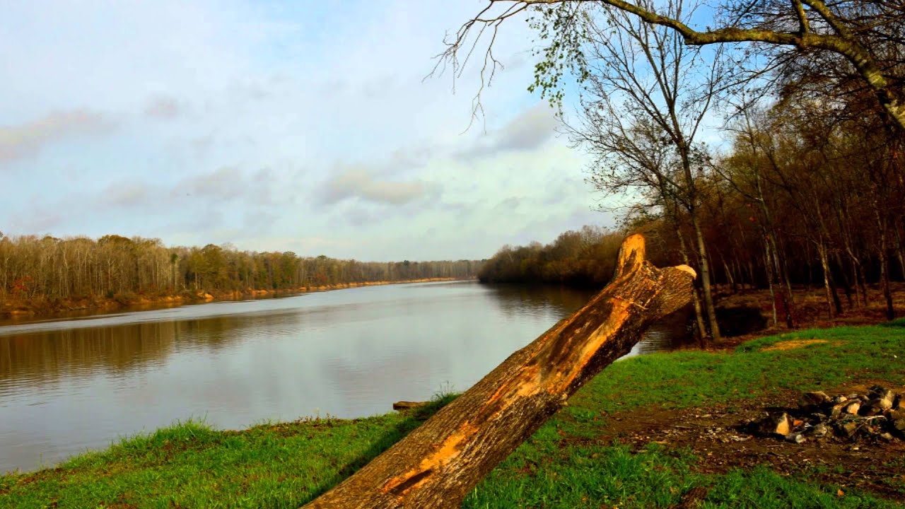 Bashi Creek Landing & Choctaw NWR, Southwest Alabama - YouTube