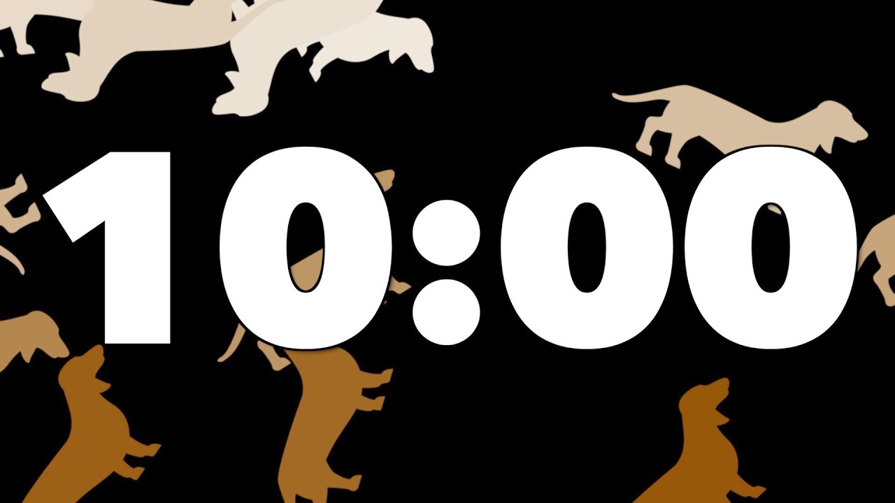 10 Minute Timer: Animated Dachshund Theme - YouTube