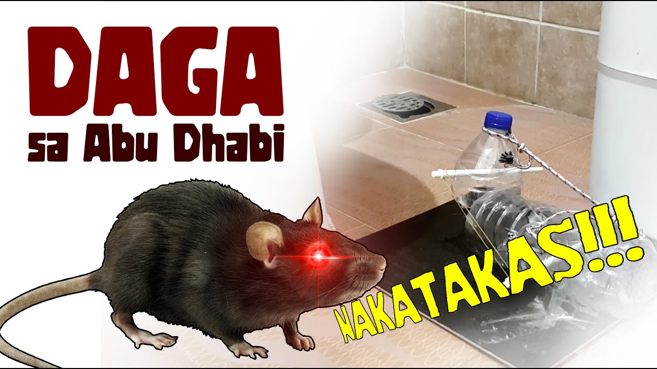 Gumawa ako ng MOUSE TRAP - Daga sa Abu Dhabi - BuhayOFW - YouTube