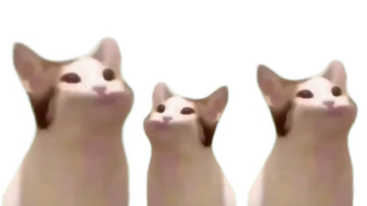 pop cat dancing - YouTube