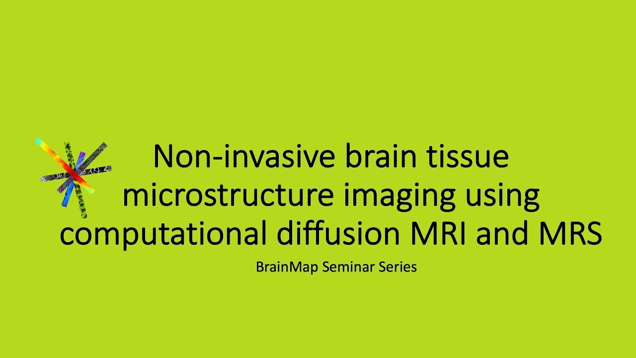 Non-invasive brain tissue microstructure imaging using computational ...