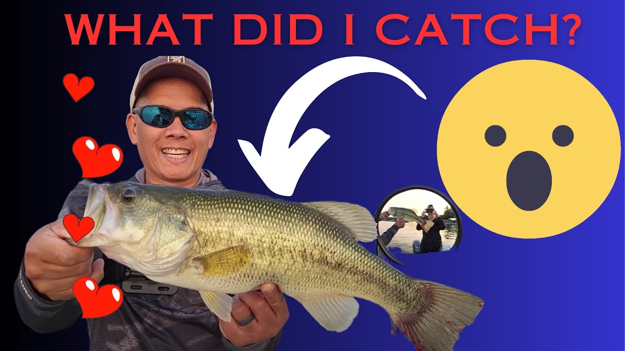 Trolling for Walleyes Not What I Expected - YouTube