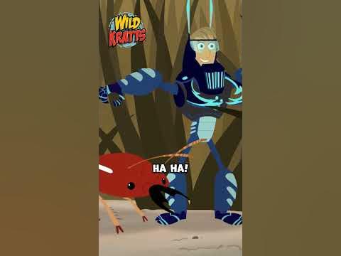 They've Reached the Herbivore Level! | Moving Up The Food Chain | Wild ...