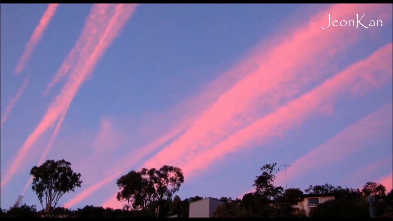 Charli XCX - Next Level Charli (Legendado) - YouTube