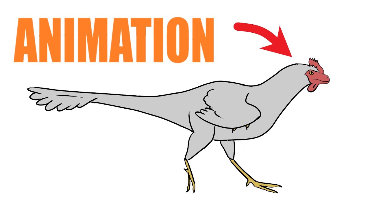 Chickenosaurus Walk Cycle - Animation 2D / Opentoonz - YouTube