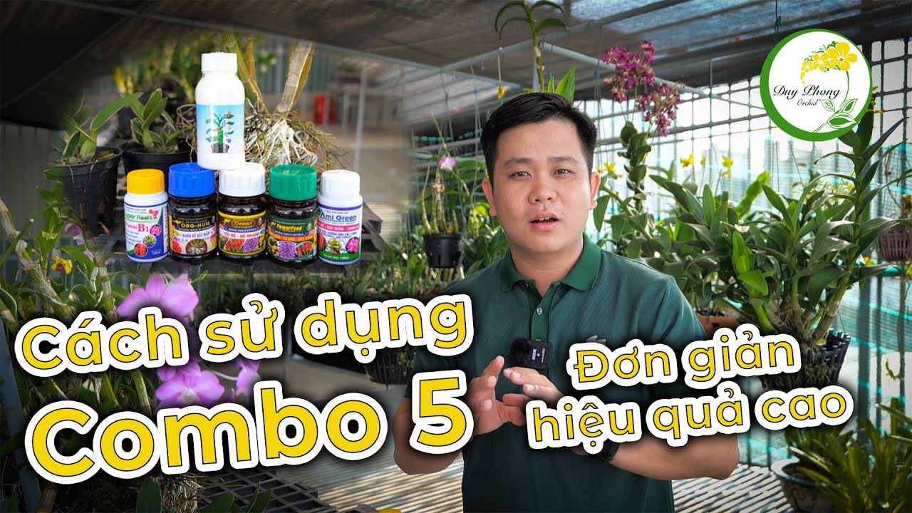 Sử dụng combo 5 thông minh - Công thức đơn giản để đạt hiệu quả cao ...