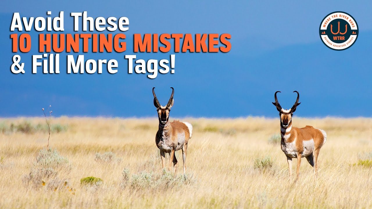 Avoid These 10 HUNTING MISTAKES & Fill More Tags! #hunting #diy - YouTube