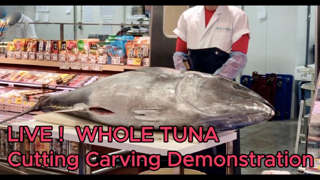 LIVE ! WHOLE TUNA Cutting Carving Demonstration - YouTube