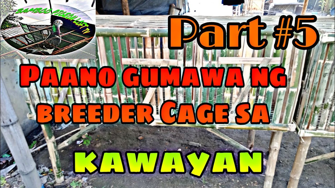 Paano gumawa ng Breeder Cage ng kalapati gamit ang kawayan. how to ...