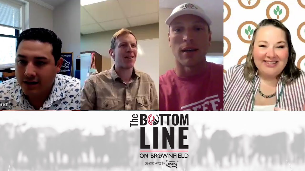 The Bottom Line: Investing in Genetics to Improve Your Bottom Line ...