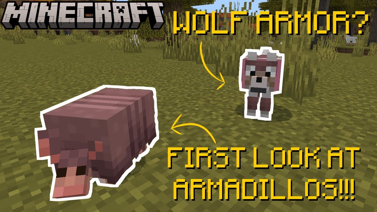 First Look at Wolf Armor and Armadillos in Minecraft! (Bedrock) - YouTube