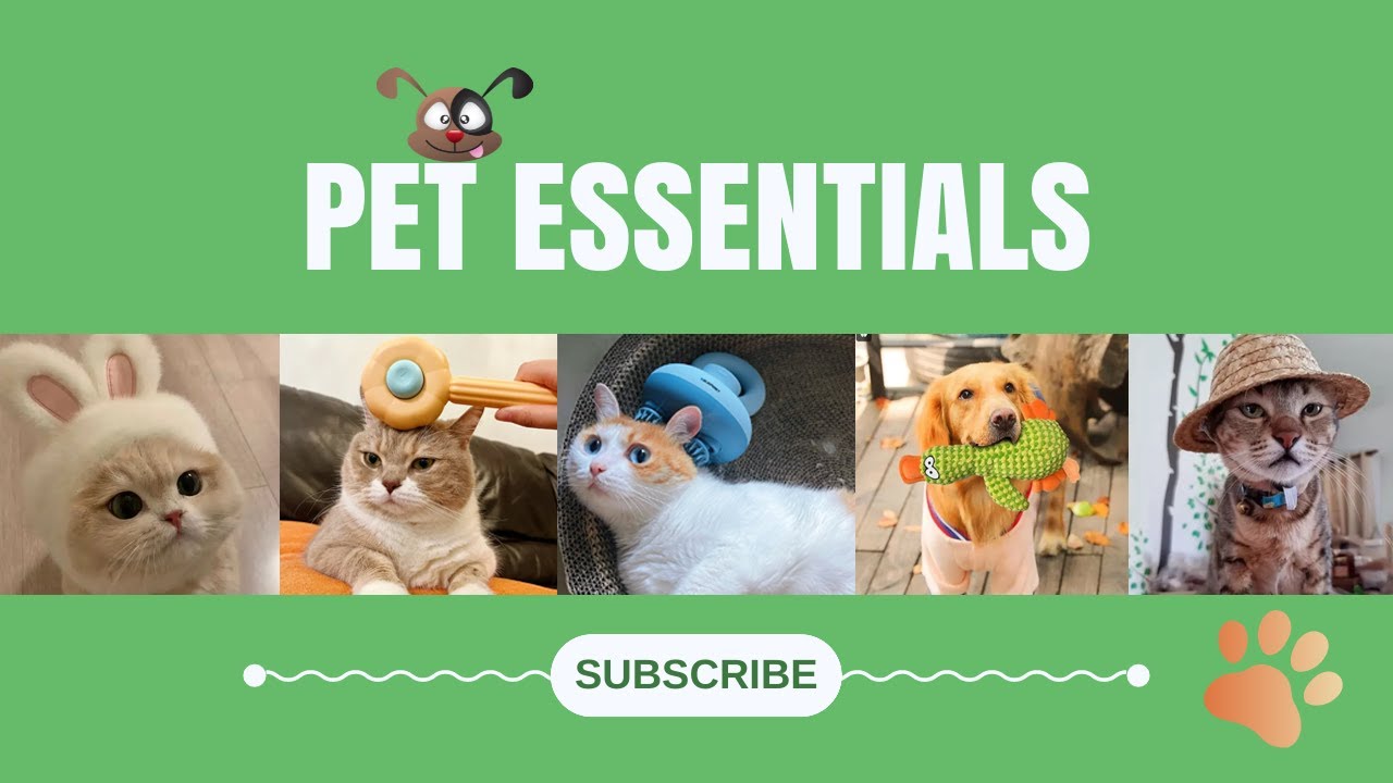 Pawsitively perfect essentials for your furry friend! 🐾 #PetLove - YouTube