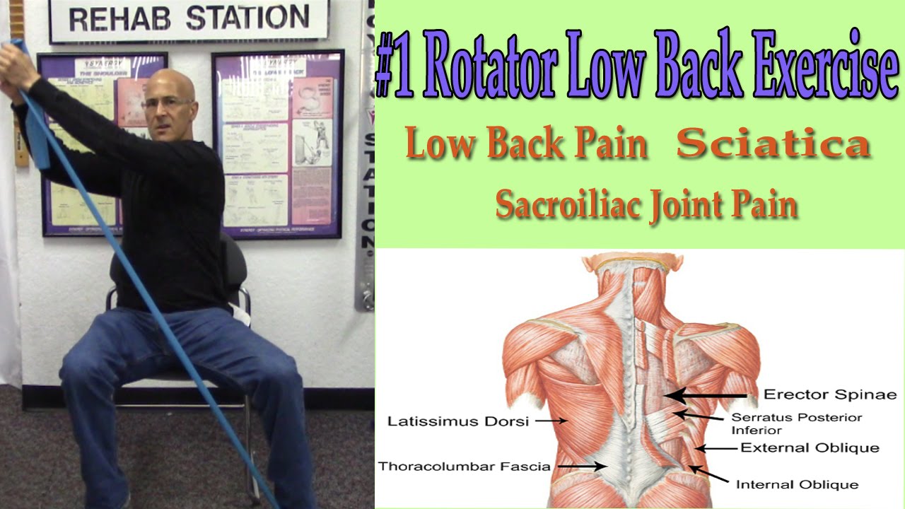 # 1 Rotator Low Back Exercise (Low Back Pain, Sciatica, Sacroiliac ...