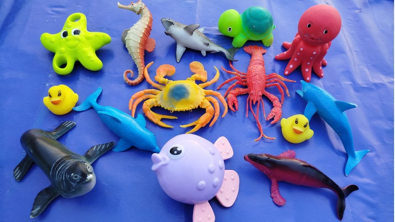learn sea animals, animals, animals for kids to learn, fish toys, water ...