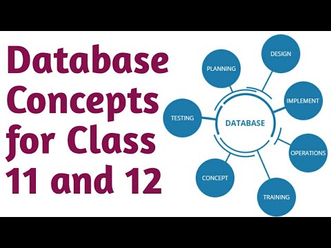 Basics of database for class 11 and 12 | database concepts for class 11 ...