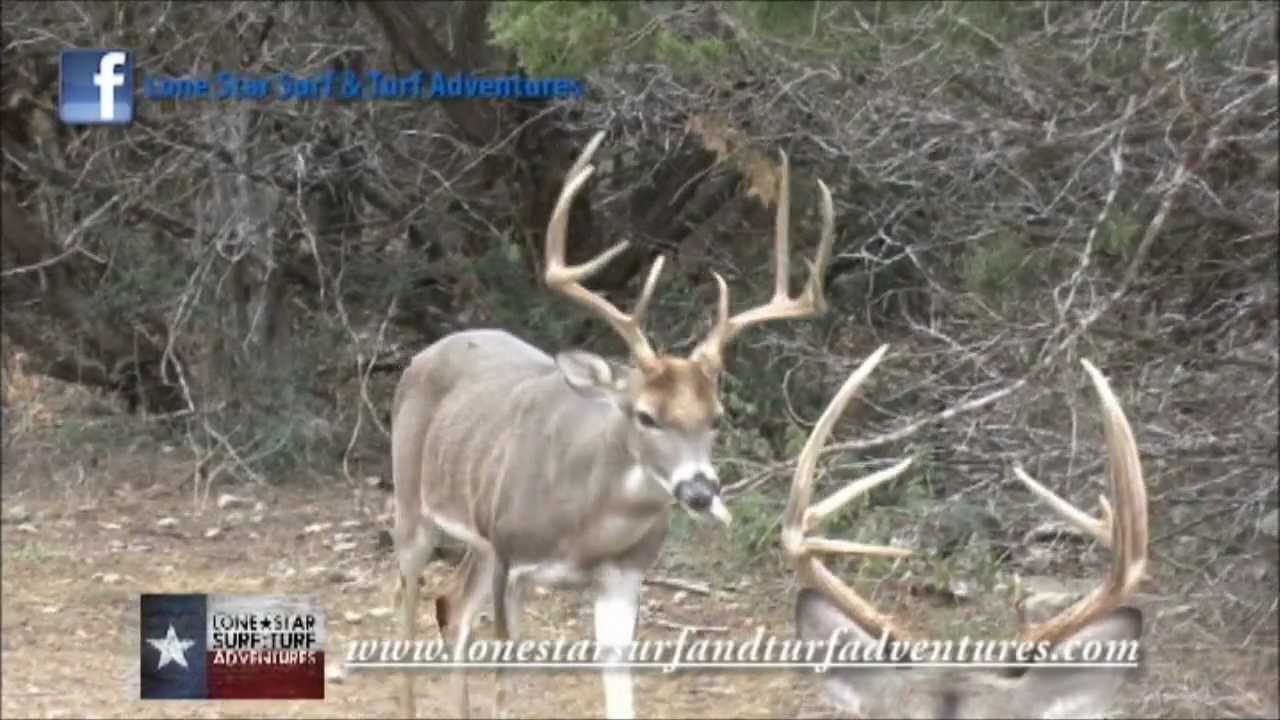 Randy Carroll-Texas Bow Buck - YouTube