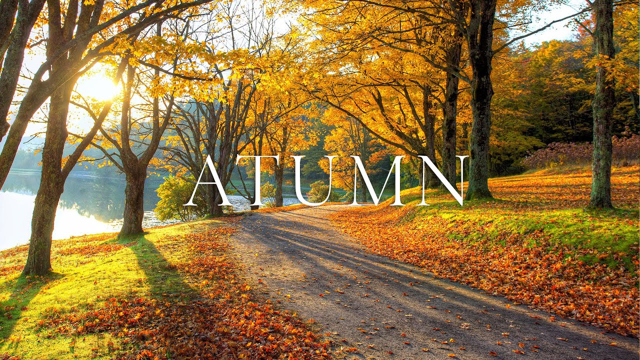 Falling Leaves: Soothing Piano Sounds with Autumn Whispers - YouTube