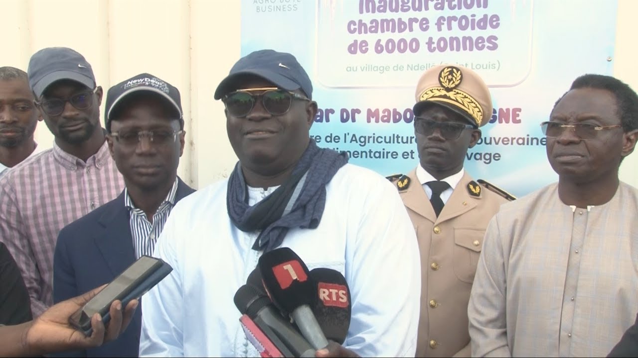 Importation d’Oignons et Mévente : Birane Boye Alerte sur une Nouvelle ...