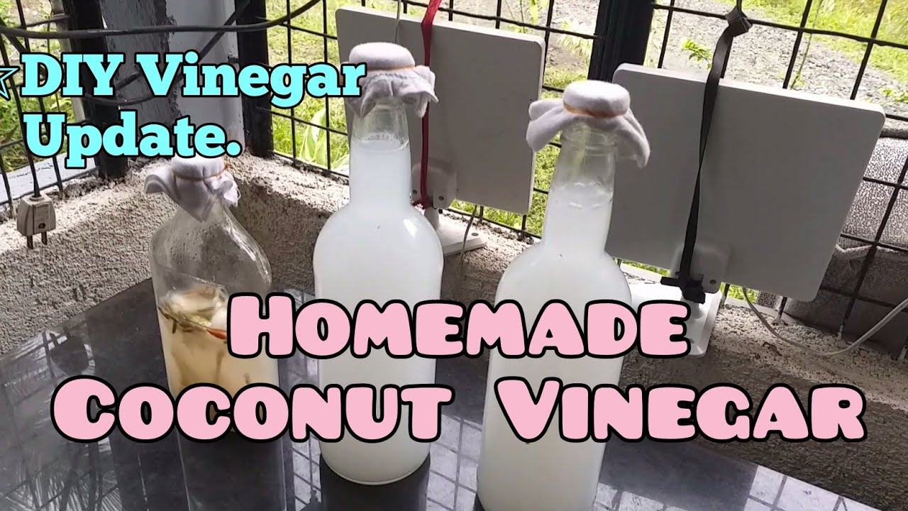 Homemade Coconut Vinegar Update. - YouTube