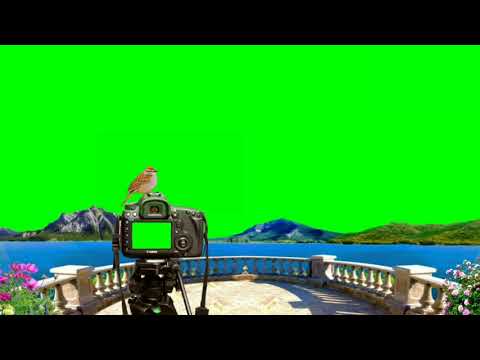 Balkon video green screen ||  green screen video || free download link di deskripsi