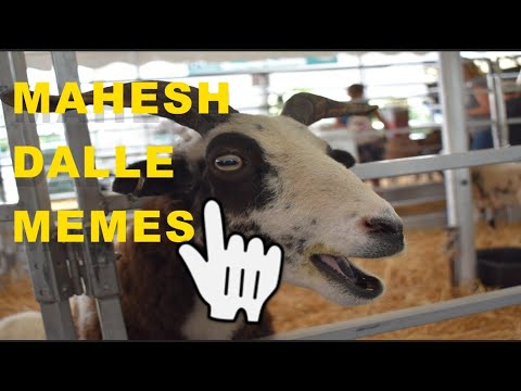 Mahesh Dalle Memes | Funny Video Memes | Meme Master LaughS - YouTube