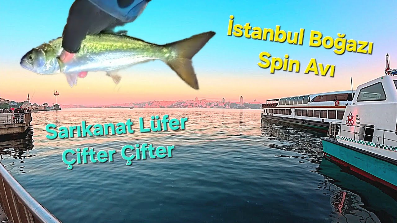LÜFERLER ÇİFTER ÇİFTER - Spin ile İSTANBUL BOĞAZI LÜFER | SARIKANAT ...