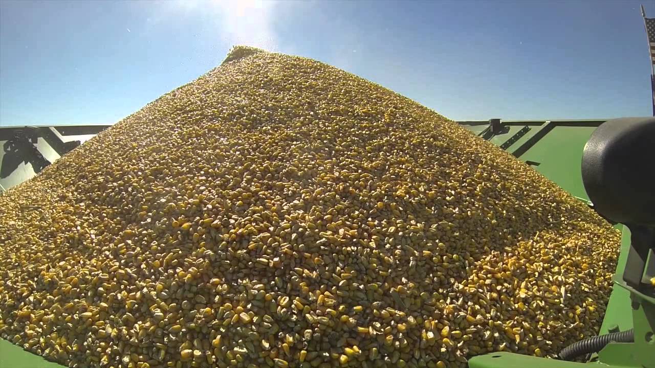 2014 Nebraska Dryland Corn Harvest - GoPro Raw - YouTube