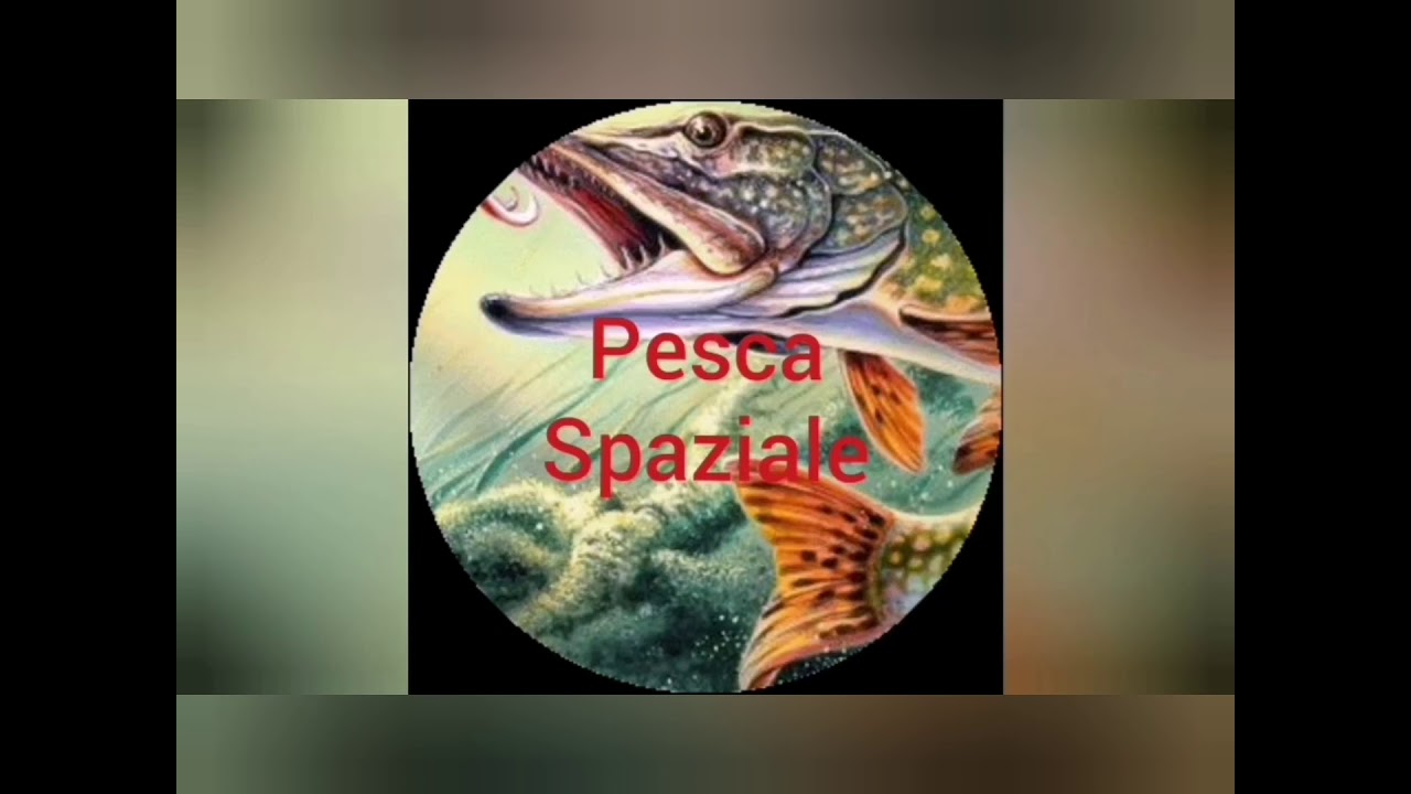 Il luccio - YouTube