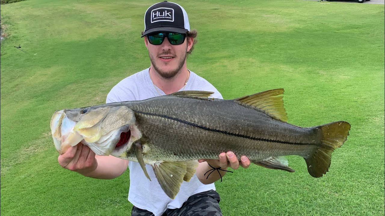 Fishing GIANT Snook and Tarpon in a Golf Course Pond! - Punta Cana ...