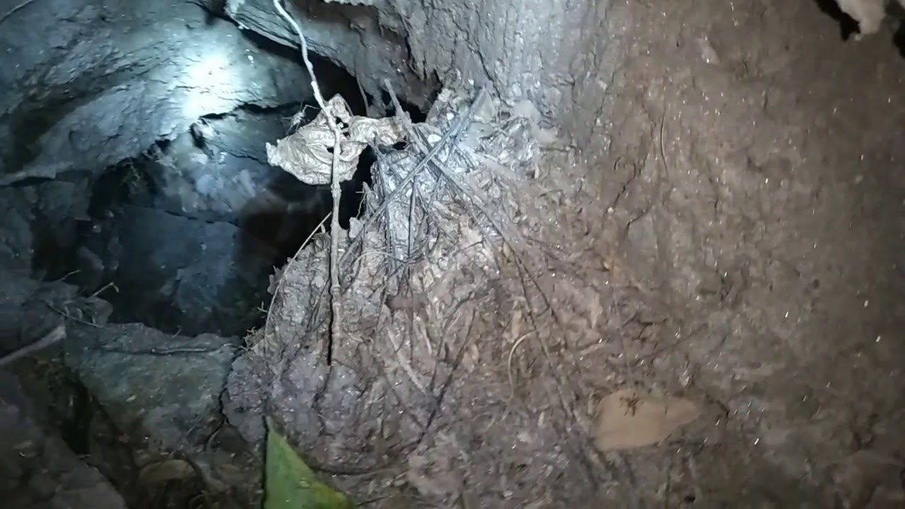 Antiguas Ruinas de Iglesia de San Clemente en Morazán El Progreso ...