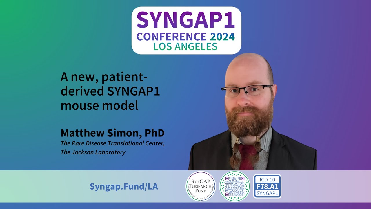 SRF | A new, patient-derived SYNGAP1 mouse model - Matthew Simon, PhD ...