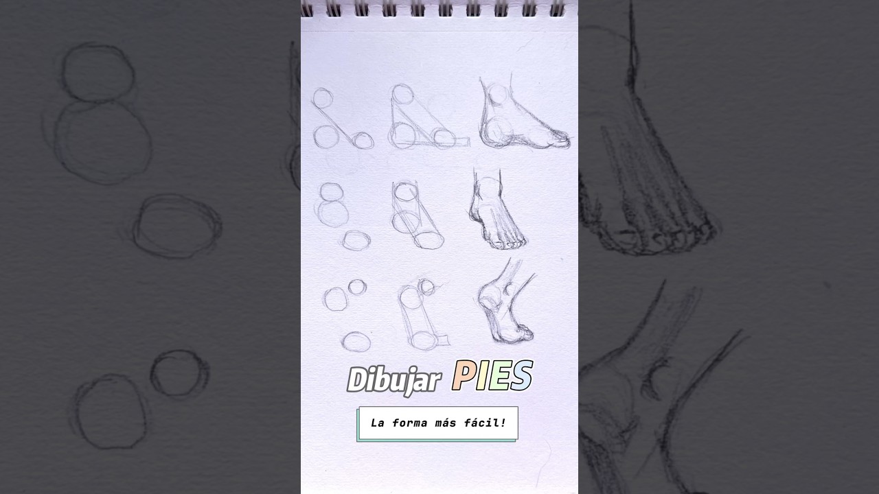 Dibujo De Pies Facil Como Dibujar Pies Desde Atras | TikTok