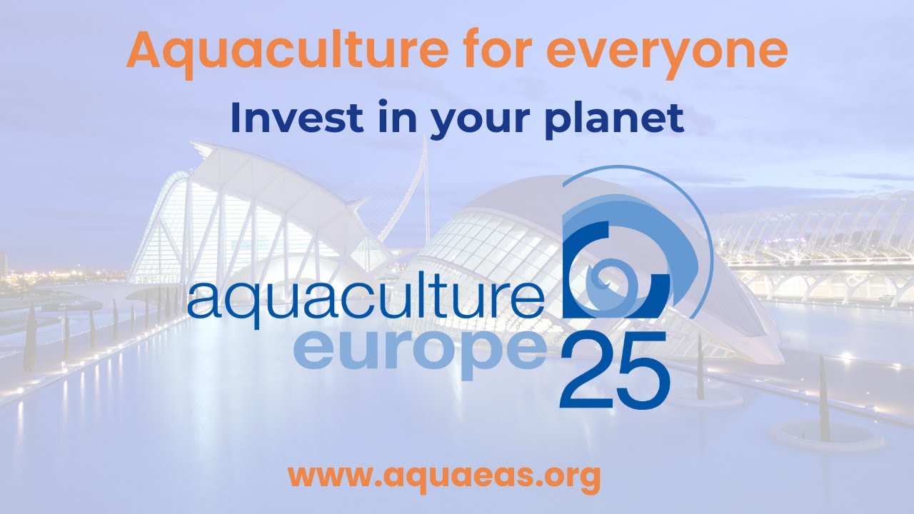 [ AE2025 Valencia ] Promo VIDEO - YouTube