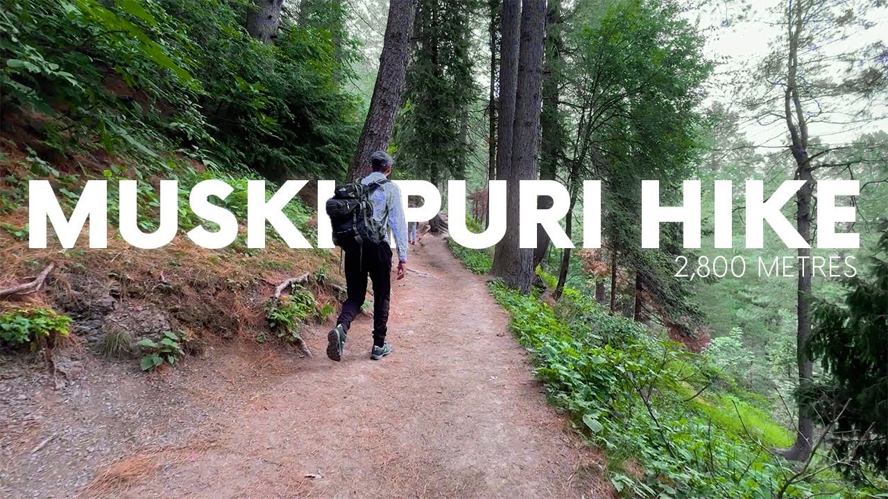 Hiking Dreamy Track of Mushkpuri Peak | Donga Gali to Mushkpuri Track ...