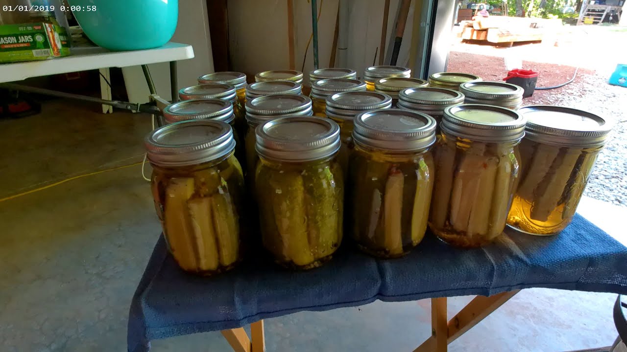 HOLY PICKLES!!! - YouTube