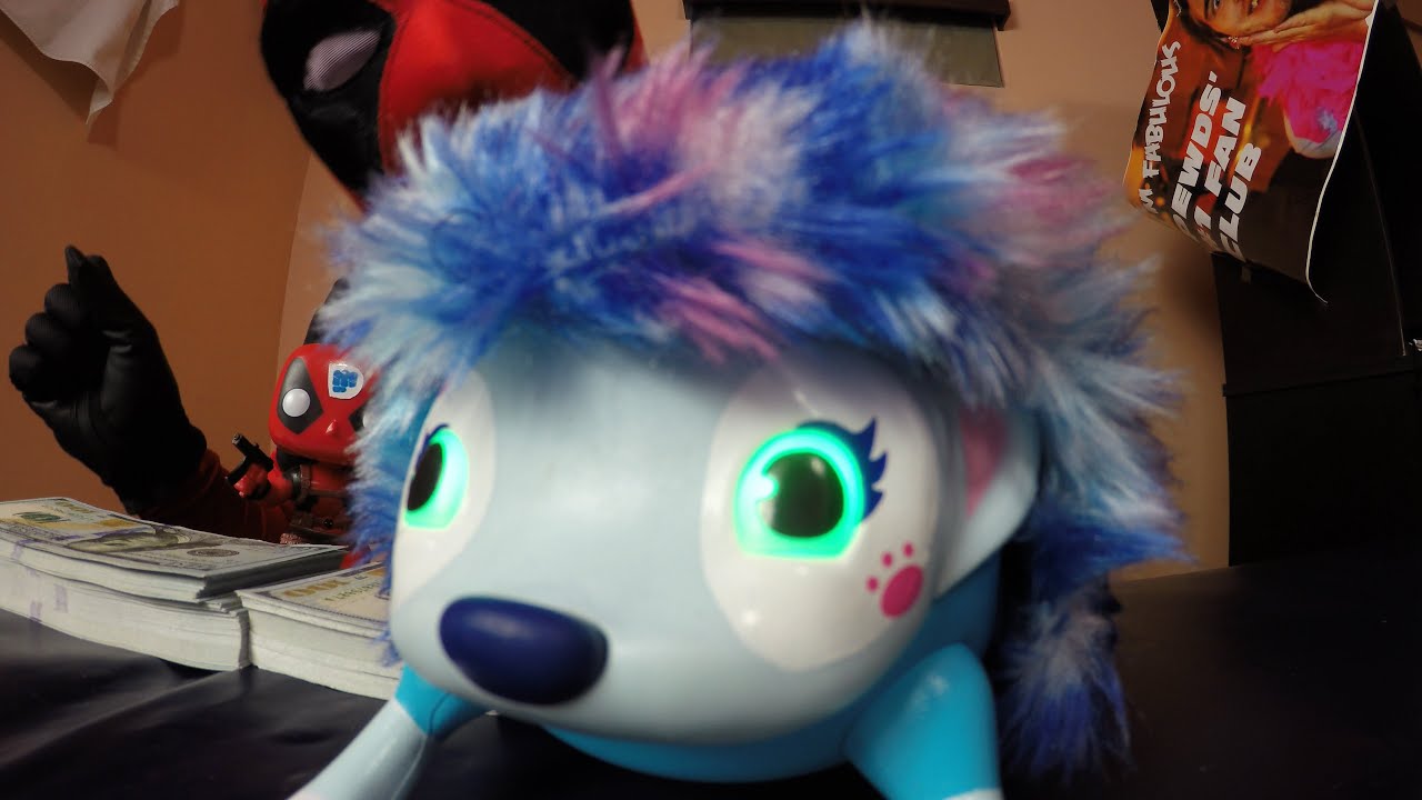 ep050 4K Zoomer Hedgiez, Flip, Interactive Hedgehog with Lights, Sounds ...