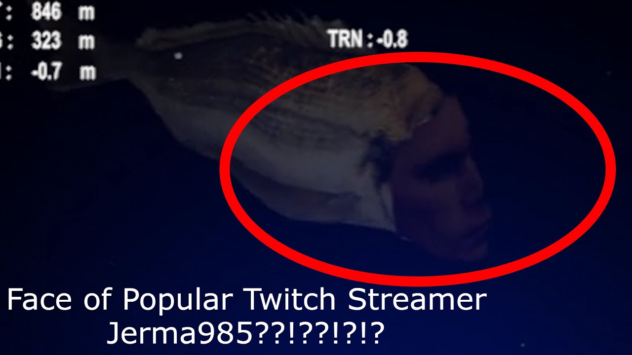 Deep Sea Jerma Fish "Fishma" Caught On Tape In A Deep Sea Oil Rig Near ...