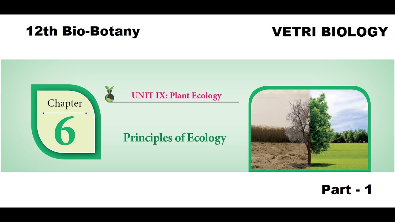 12th Chapter 6 Principles of Ecology part 1 - YouTube