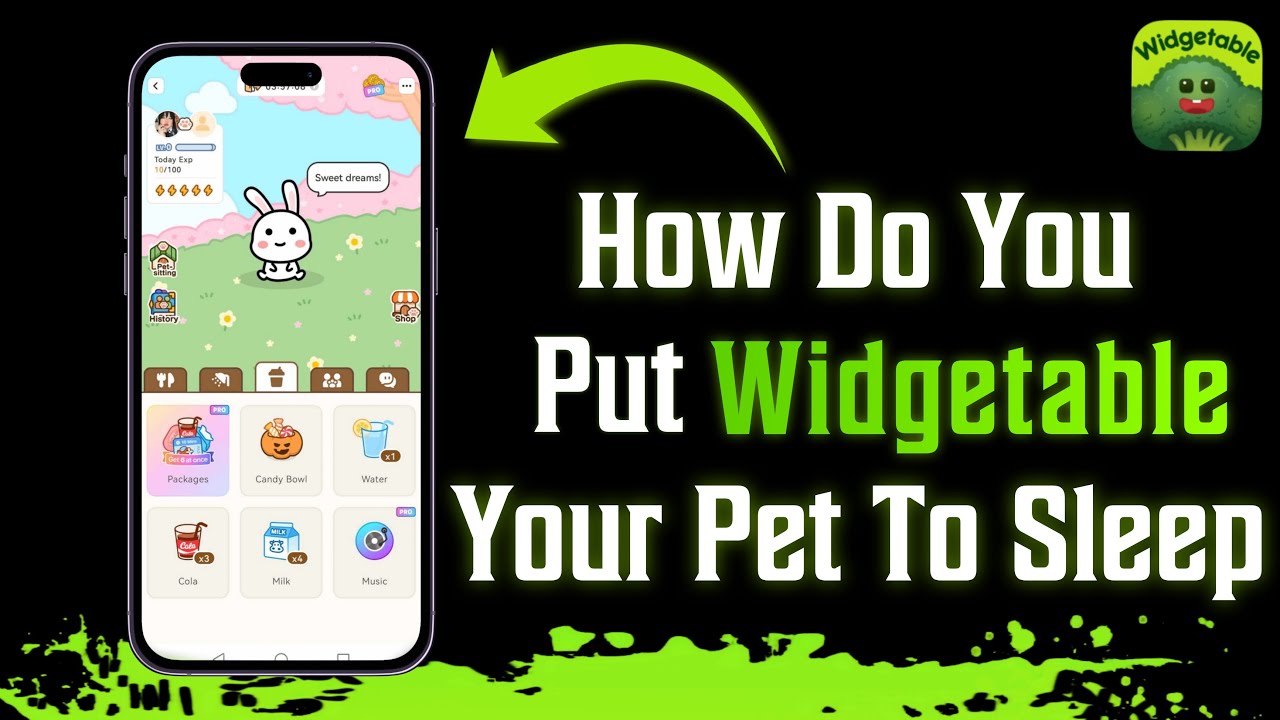 How Do You Put Your Widgetable Pet To Sleep - YouTube