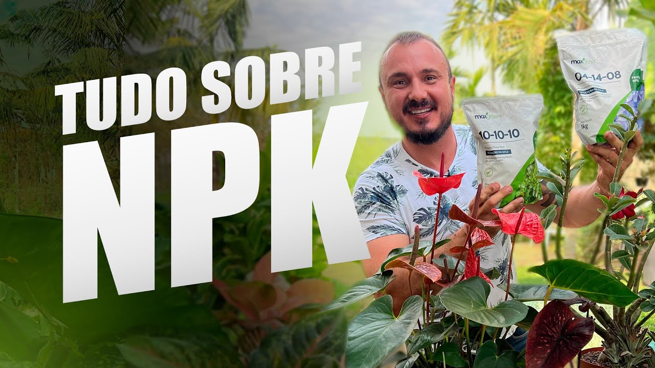 Como utilizar o NPK nas plantas | Tudo sobre este adubo - YouTube