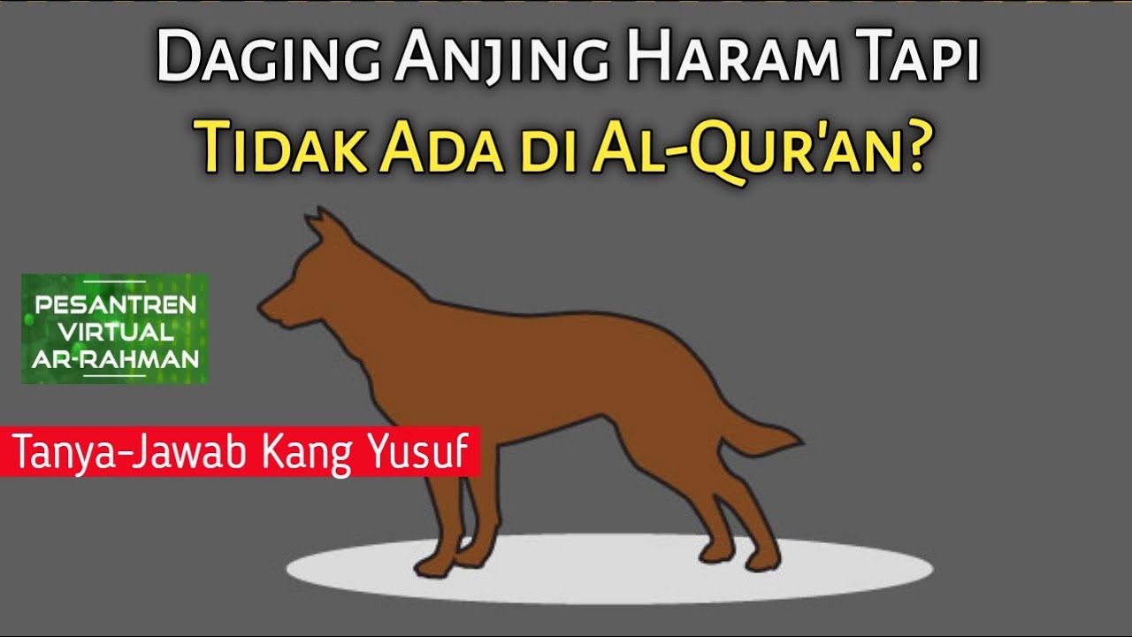 daging anjing haram tapi Qur'an tidak mengharamkan || tanya jawab kang ...