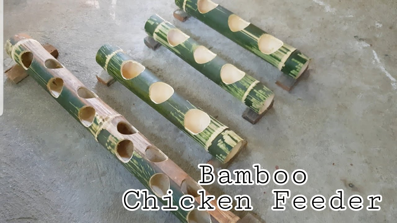 DIY Bamboo Chicken Feeder - YouTube