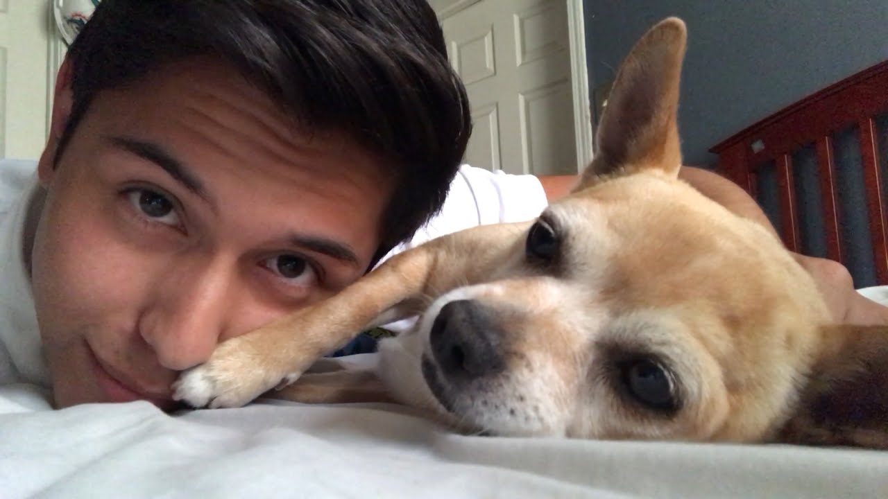 HAPPY HAPPY & MORE HAPPY! (Dog Sounds, Whispering, Mouth Sounds, & MORE ...