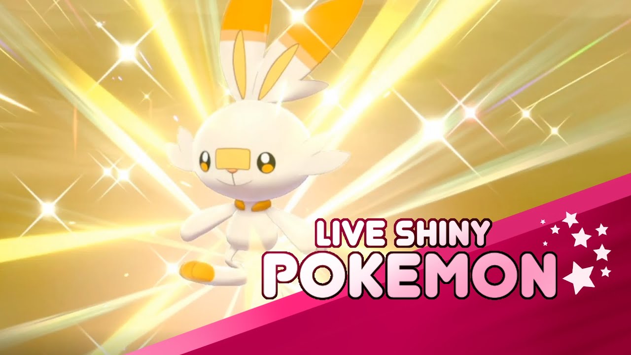[Live] Shiny Scorbunny at 150 Eggs Hatched | Pokemon Shield - YouTube