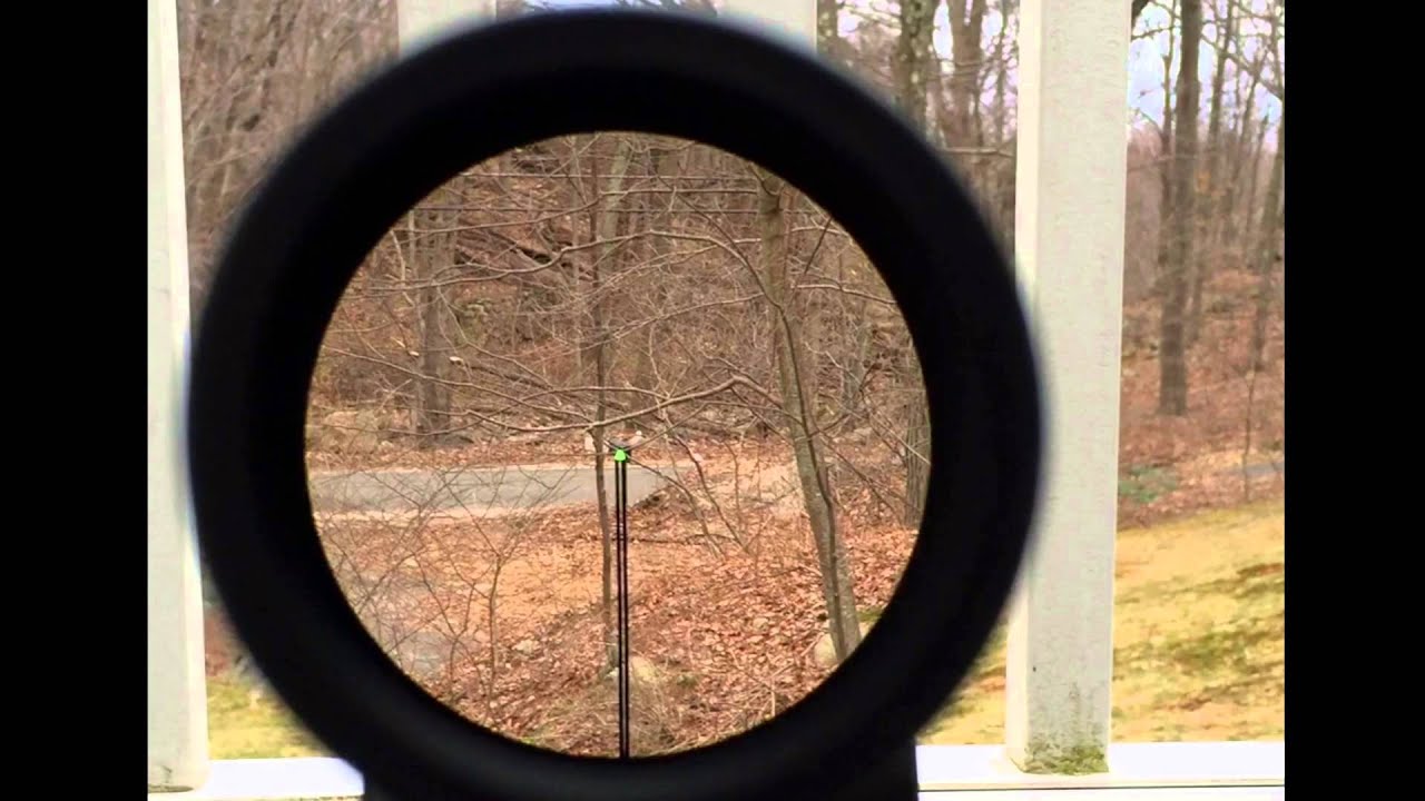 Trijicon Accupoint TR22 G 2.5 x 10 x 56mm Reticle daylight min (2.5x ...