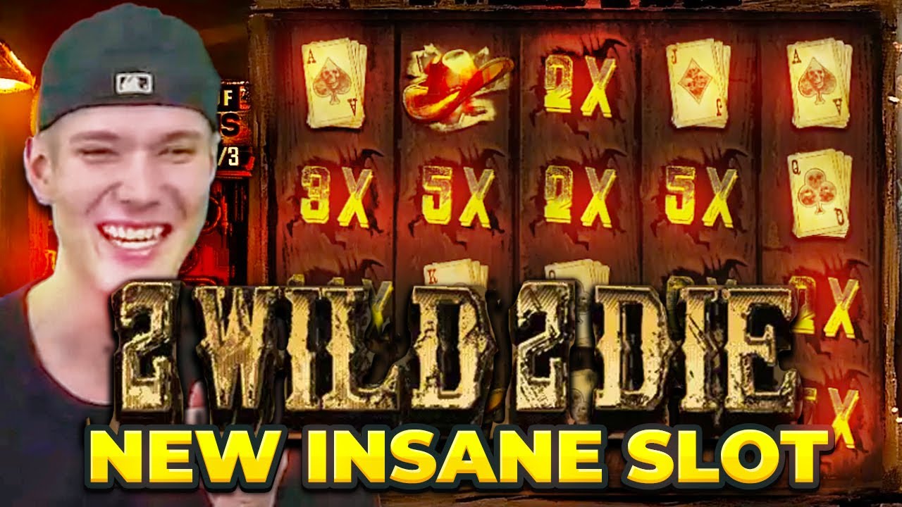 THIS NEW SLOT IS HOT! 🔥 TOP 6 WINS ON '2 WILD 2 DIE' - YouTube